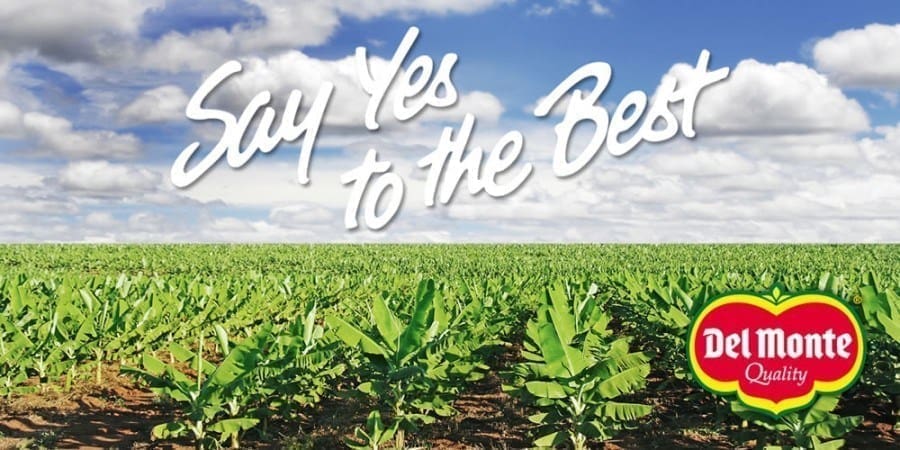 Del Monte banana field | World Branding Awards