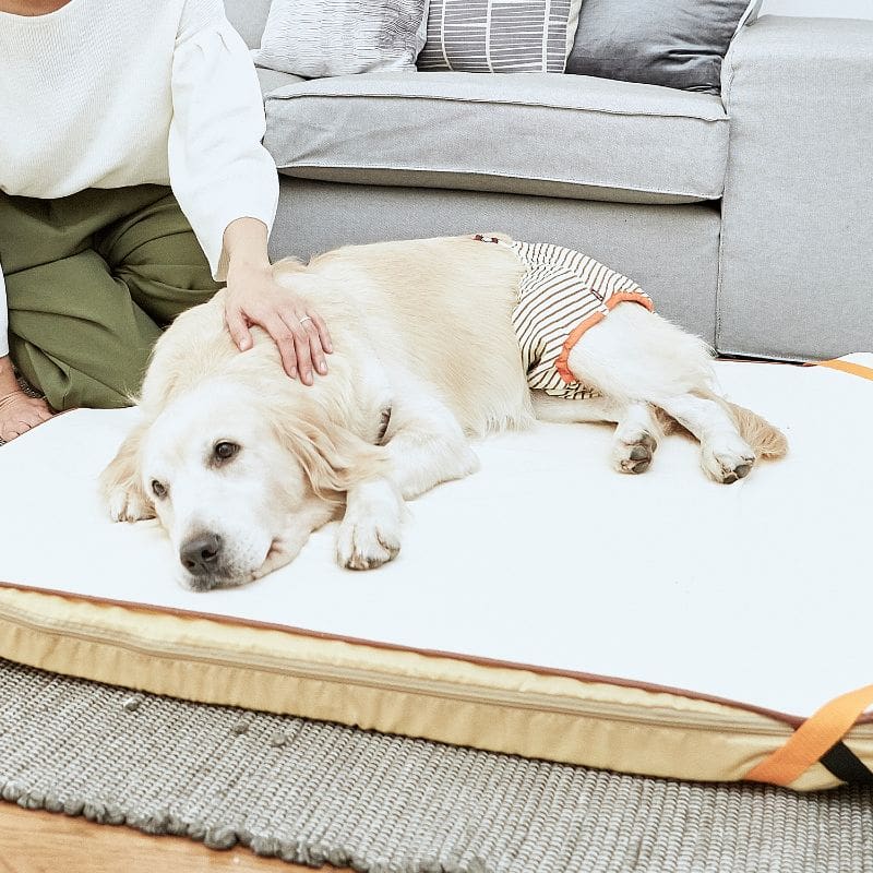 Petio | World Branding Awards